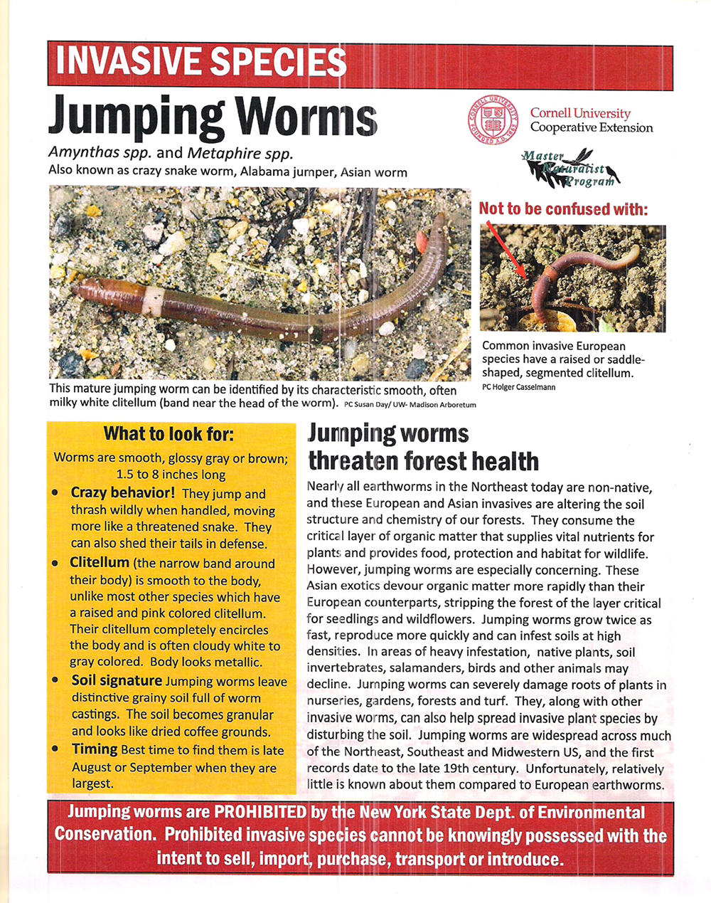 Invasive Species: Jumping Worms